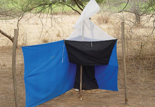 Utilizing Wildlife Products in Fight against Trypanosomiasis | Science ...