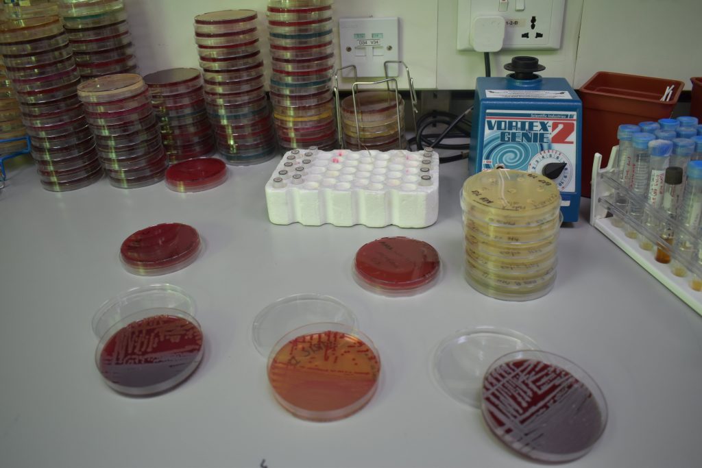 AMR Testing Improving Treatment of Severe Infections in Kenya | Science ...