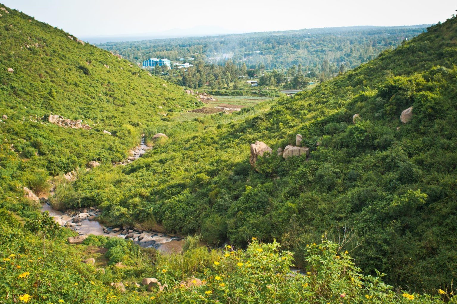 The Plight of an Ancient River in Kenya: The Degradation, Restoration ...