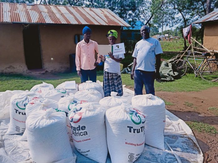 Kenya: Cassava Solar Driers Cushioning Farmers against Post-harvest ...