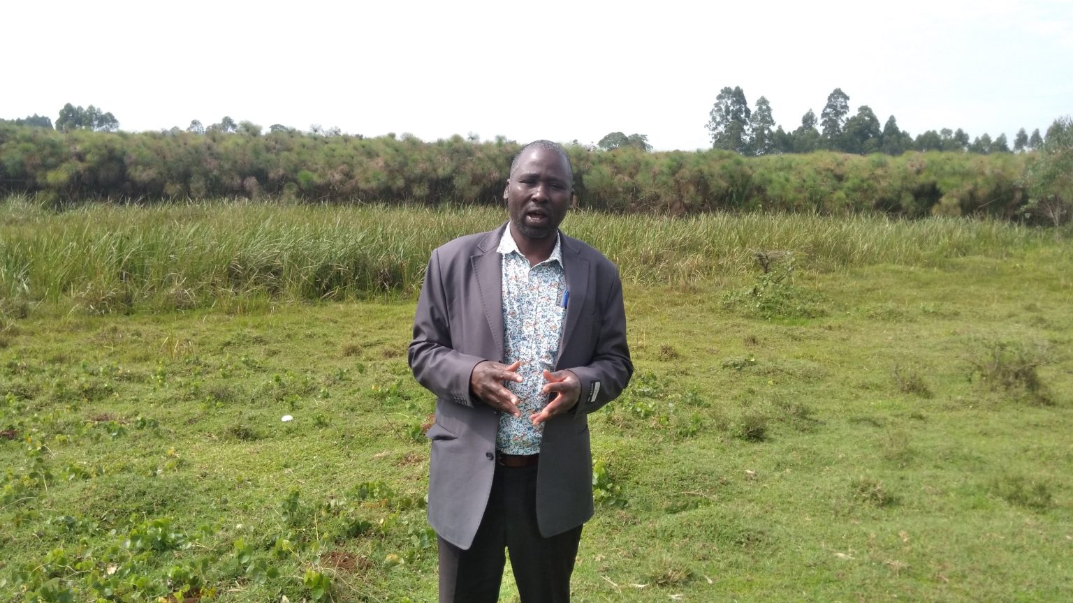 Kenya: Nandi County’s Wetland Restoration Efforts Bringing Back Swamp ...