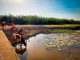 Kenya: Biodiversity Gains, Loses of River Yala | Science Africa