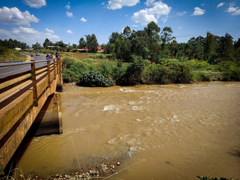Kenya: Biodiversity Gains, Loses of River Yala | Science Africa