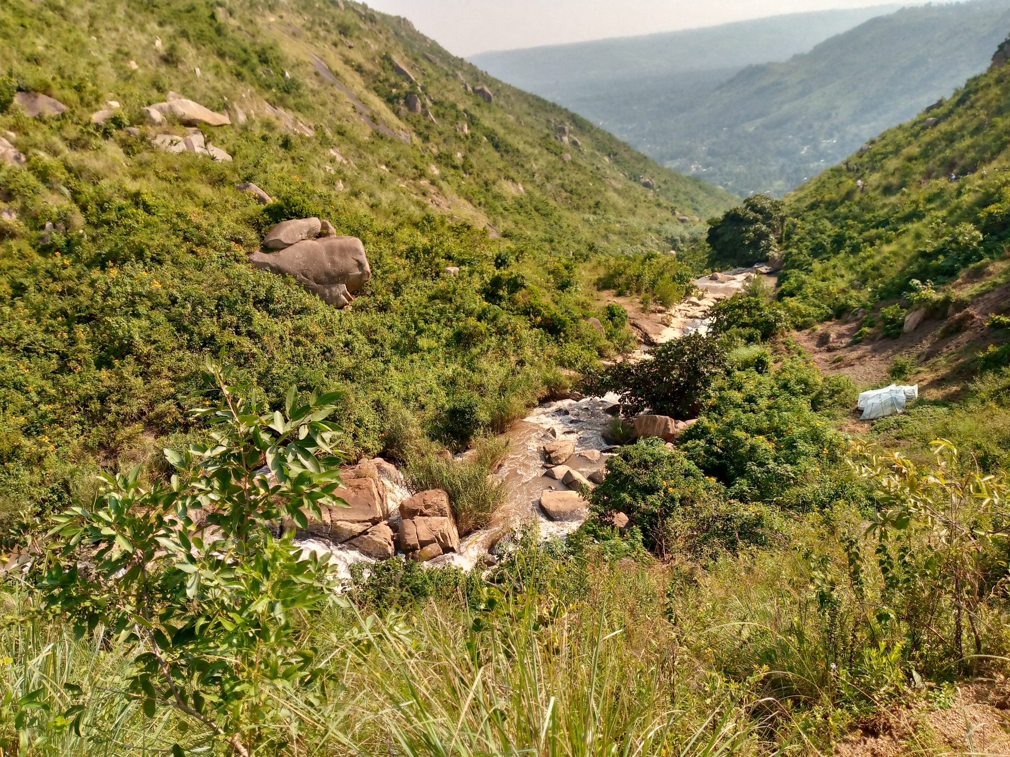 Kenya: Community Members Plant Indigenous Trees to Conserve River Kibos ...